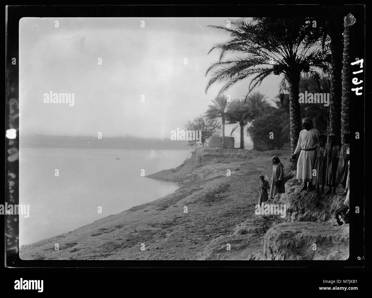 The Tigris River in Baghdad, Iraq, is shown with palm groves lining its ...