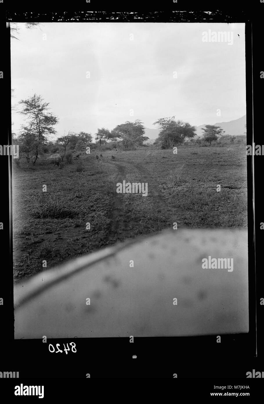 A scenic view of the Rift Valley in Kenya, showing the bush country ...