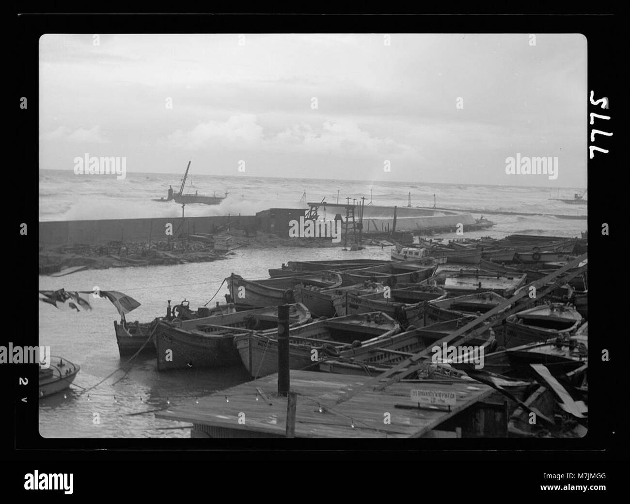 A photograph documenting the official opening of Tel Aviv Port ...