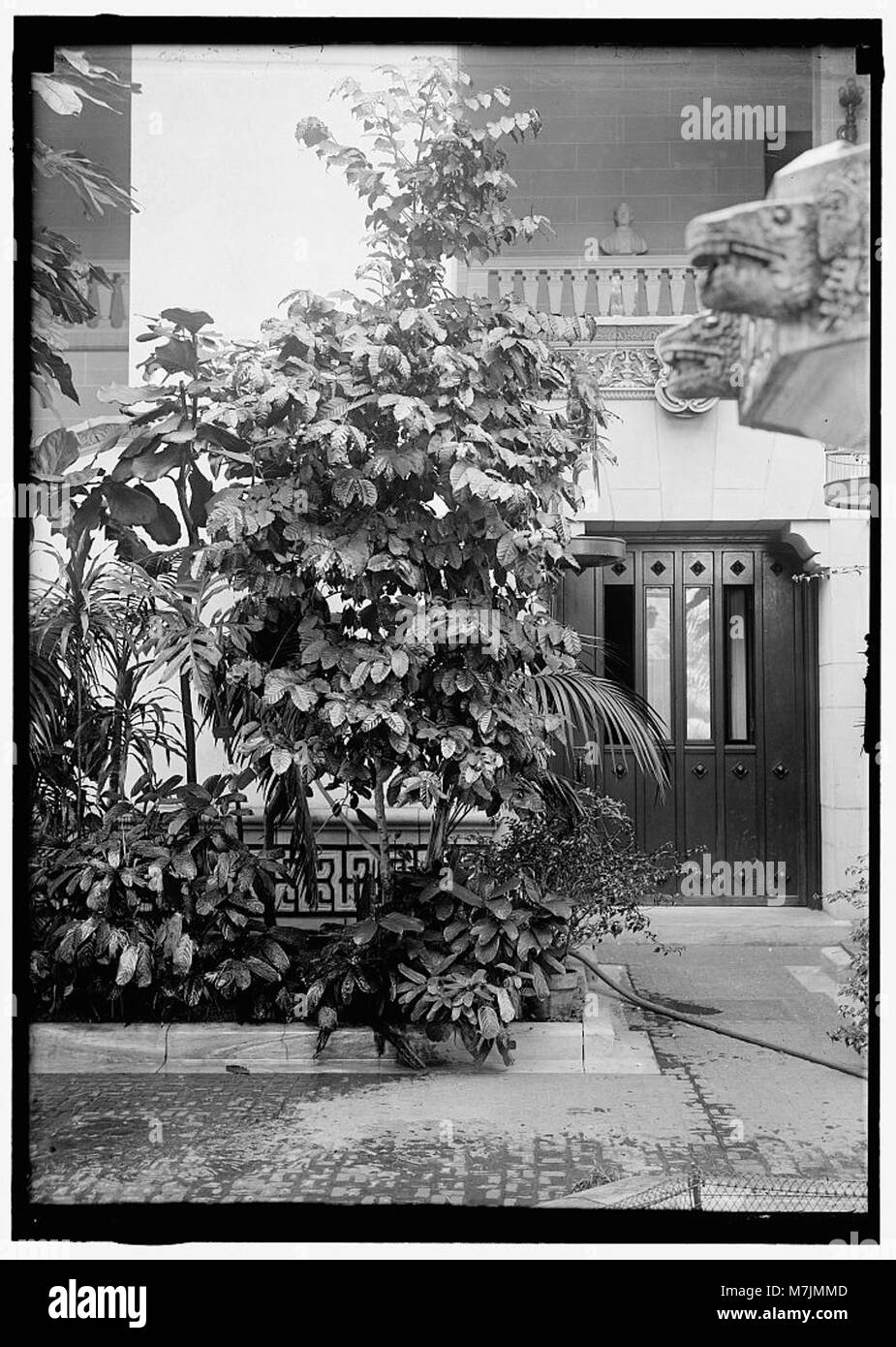 A photograph of the corner of the patio at the Pan American Union ...