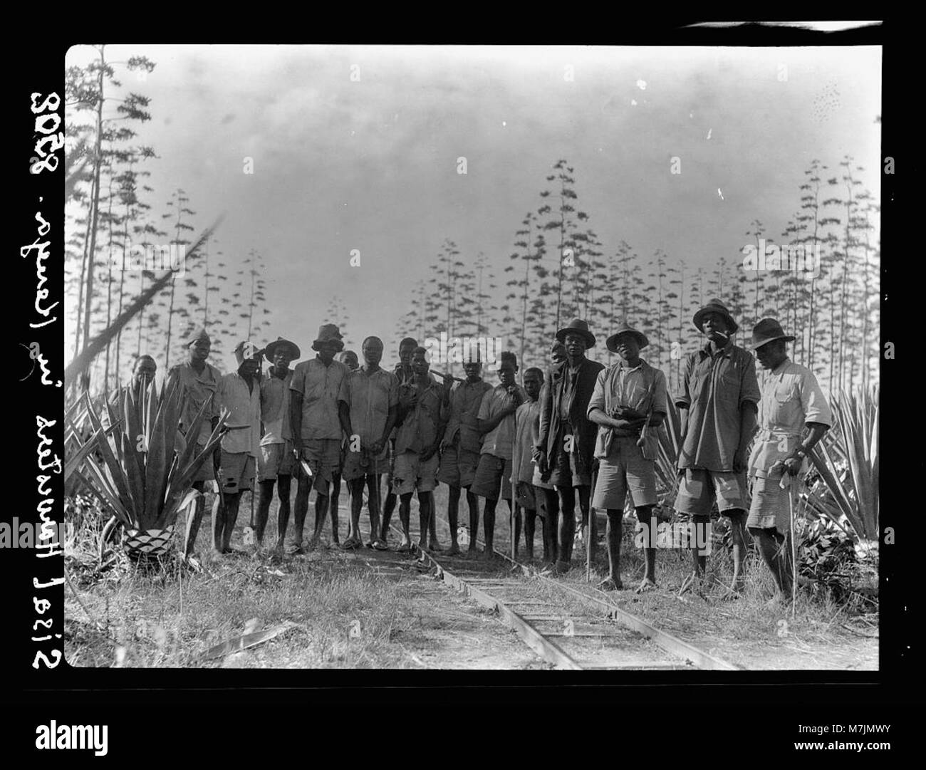 A photograph from the Kenya Colony showing a group of native workers ...