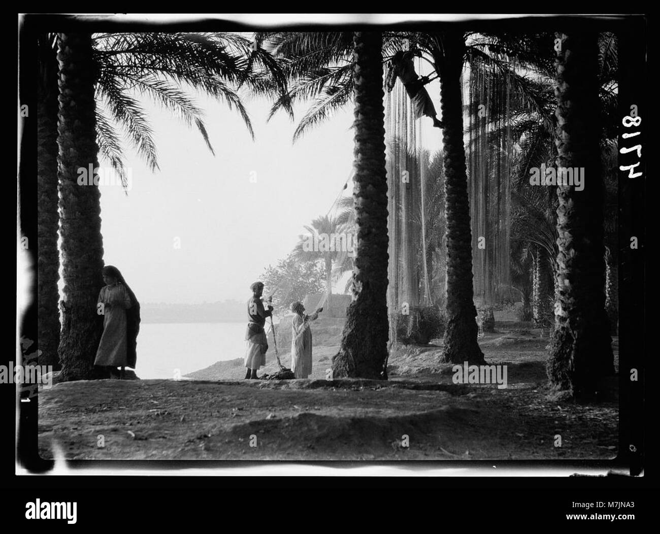 This photograph shows scenes along the Euphrates River near Hilla, Iraq ...