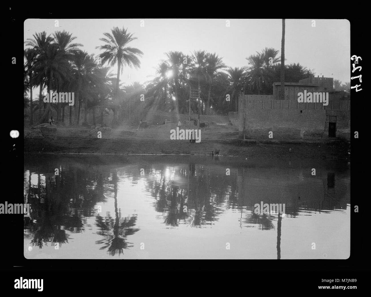 A scenic view of the Euphrates River near Hilla, Iraq, capturing the ...