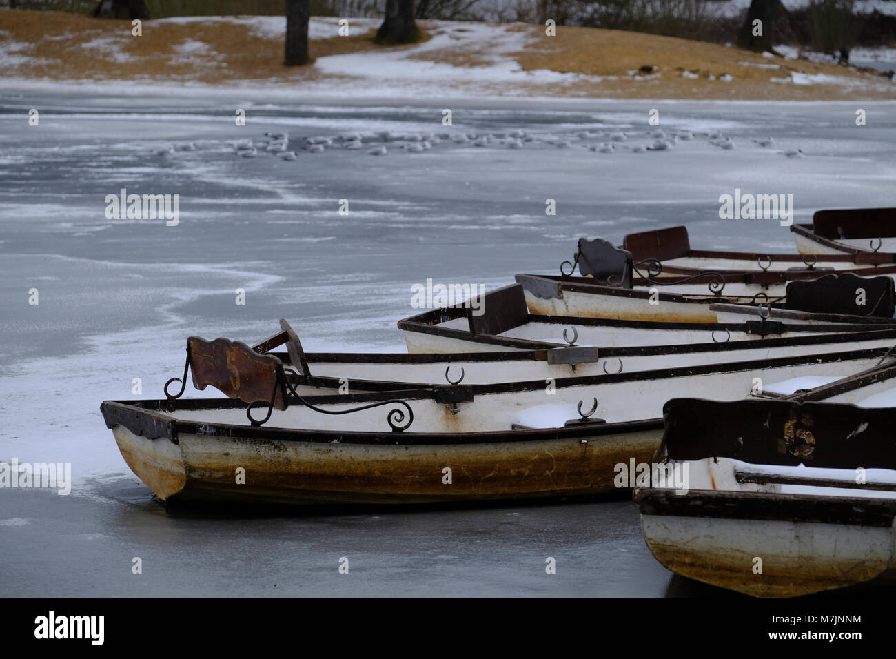 Epping forest winter hi-res stock photography and images - Alamy