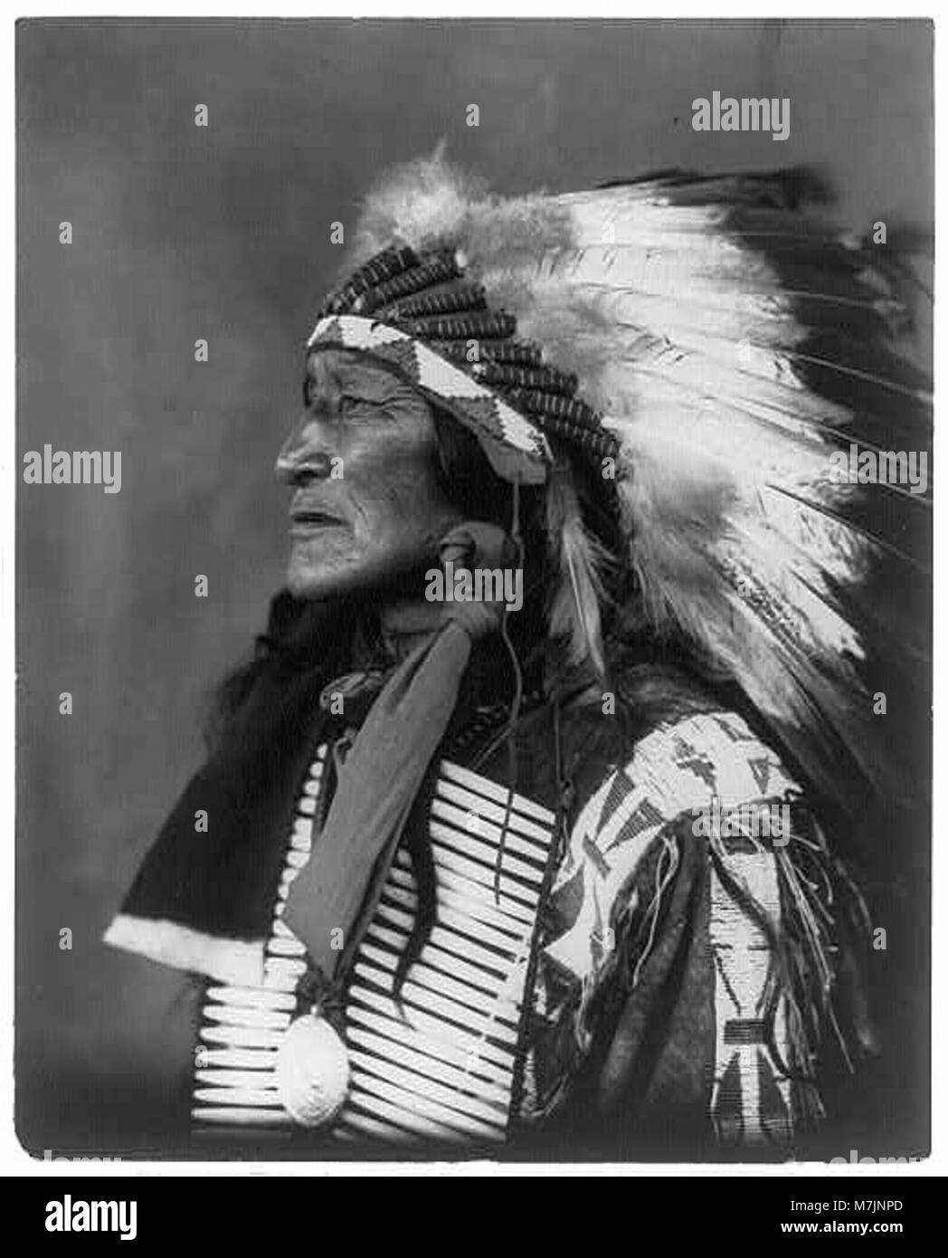 A detailed photograph of an iron shield, a historical artifact often ...