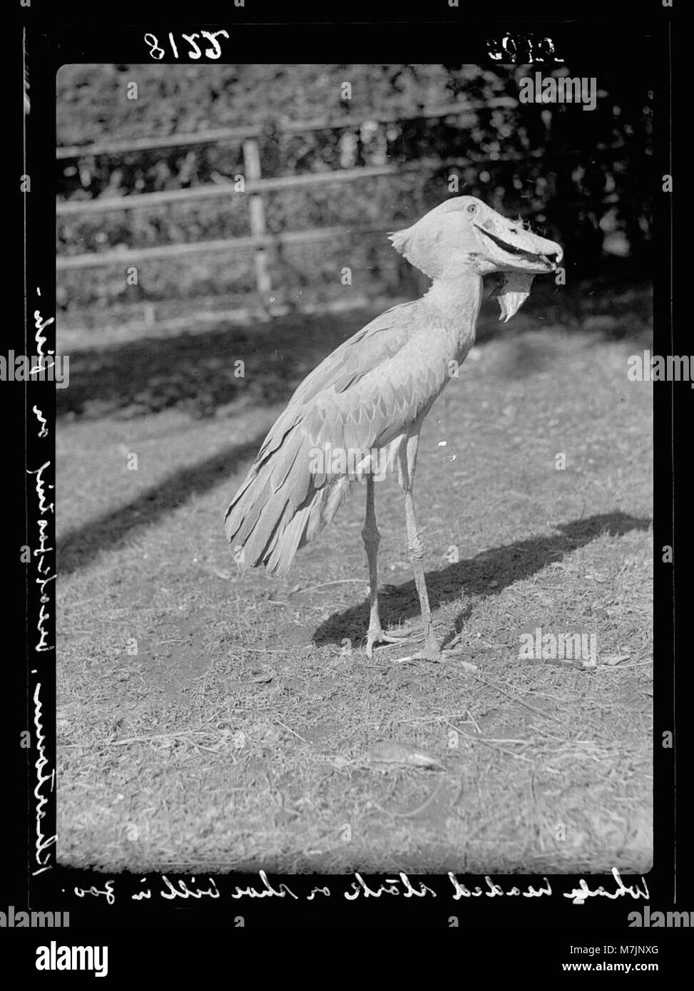 Wetlands exhibits hi-res stock photography and images - Alamy