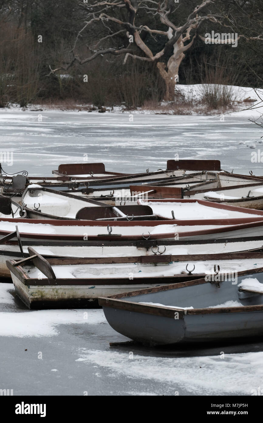 Hollow Pond in snow, Epping Forest, London, United Kingdom Stock Photo ...