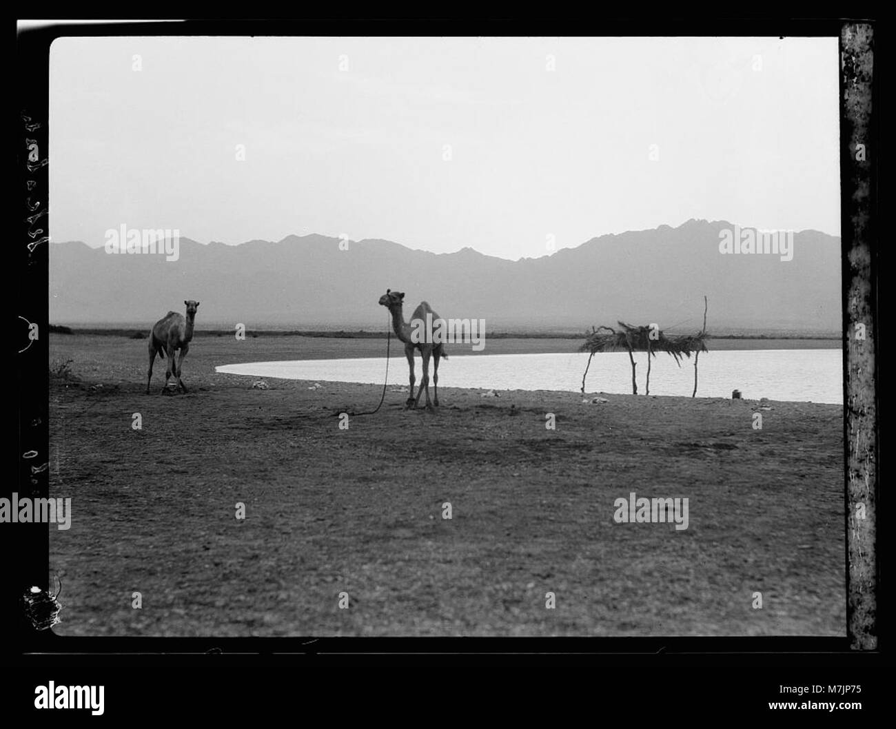 The Araba (Southern end of the great Jordan rift). Akaba (Elath). Gulf ...