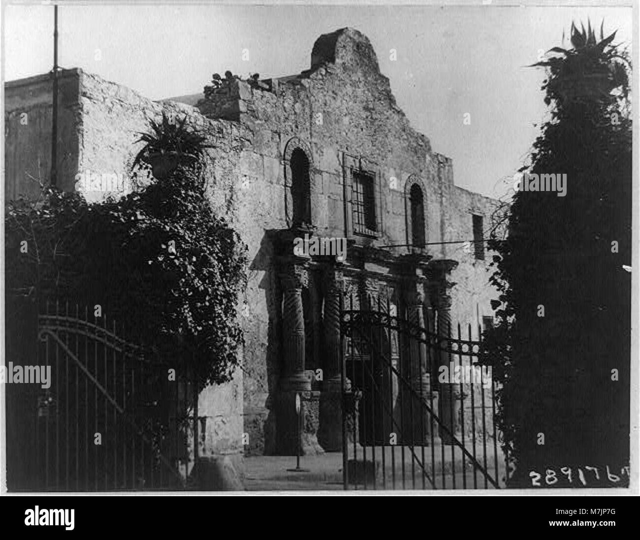A historic photograph capturing the front of the Alamo in San Antonio ...