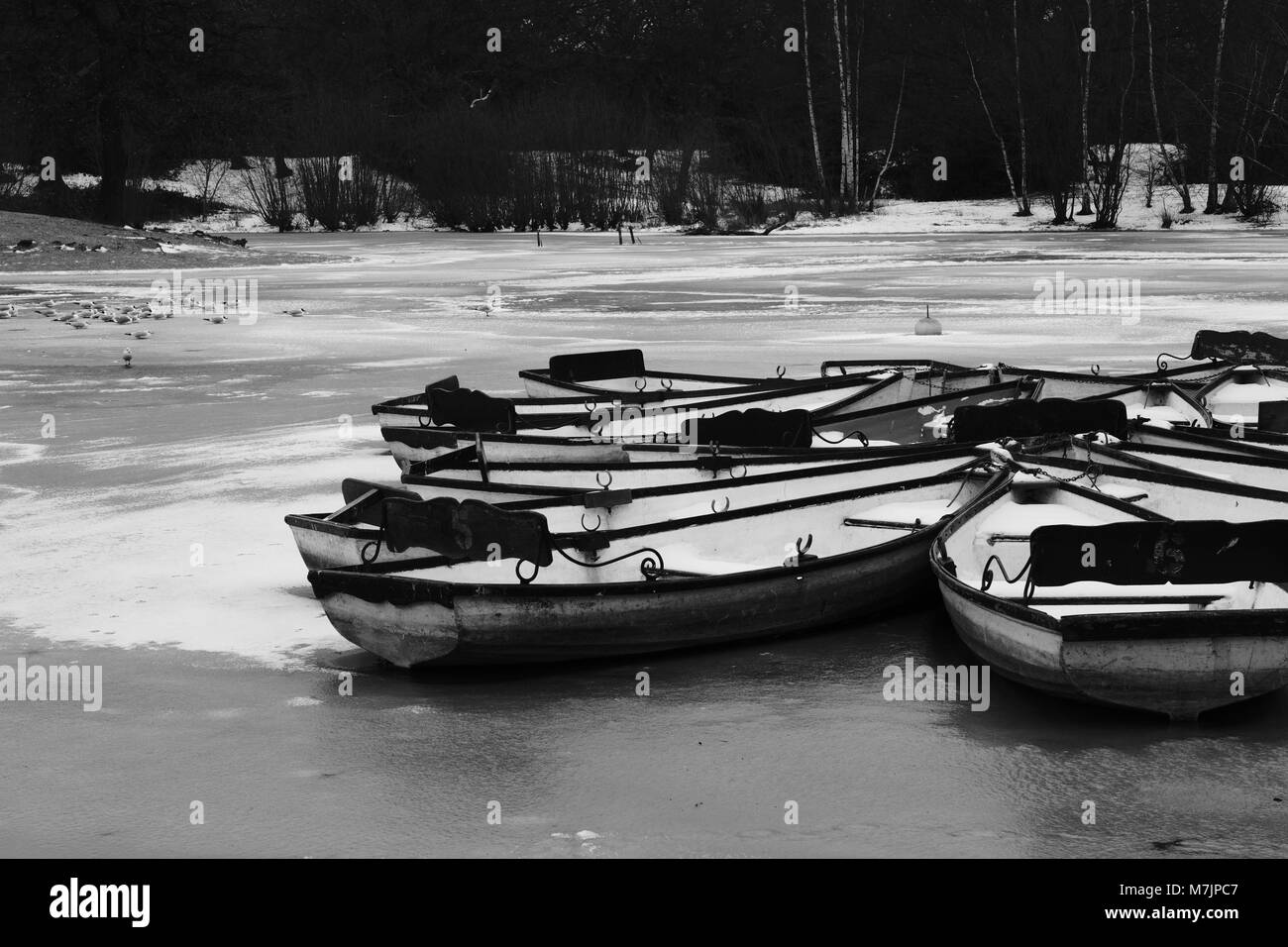 Hollow Pond in snow, Epping Forest, London, United Kingdom Stock Photo ...