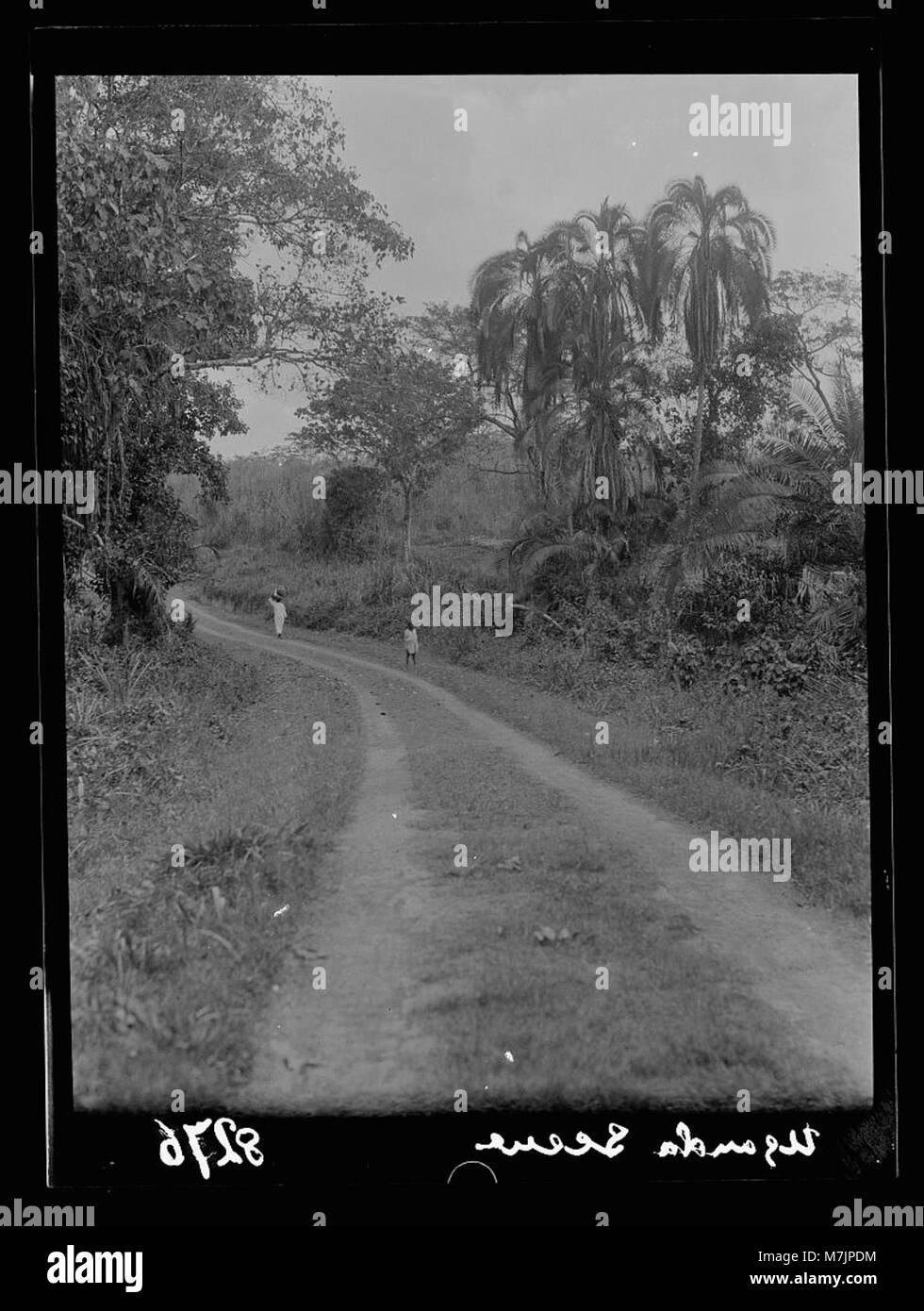 Book road scene Black and White Stock Photos & Images - Alamy