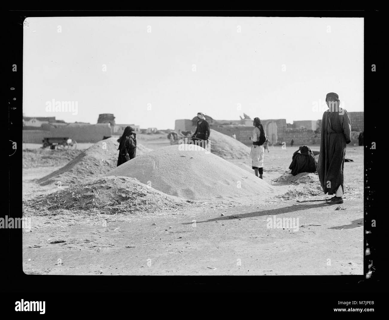 Millet Seed Piles High Resolution Stock Photography and Images - Alamy