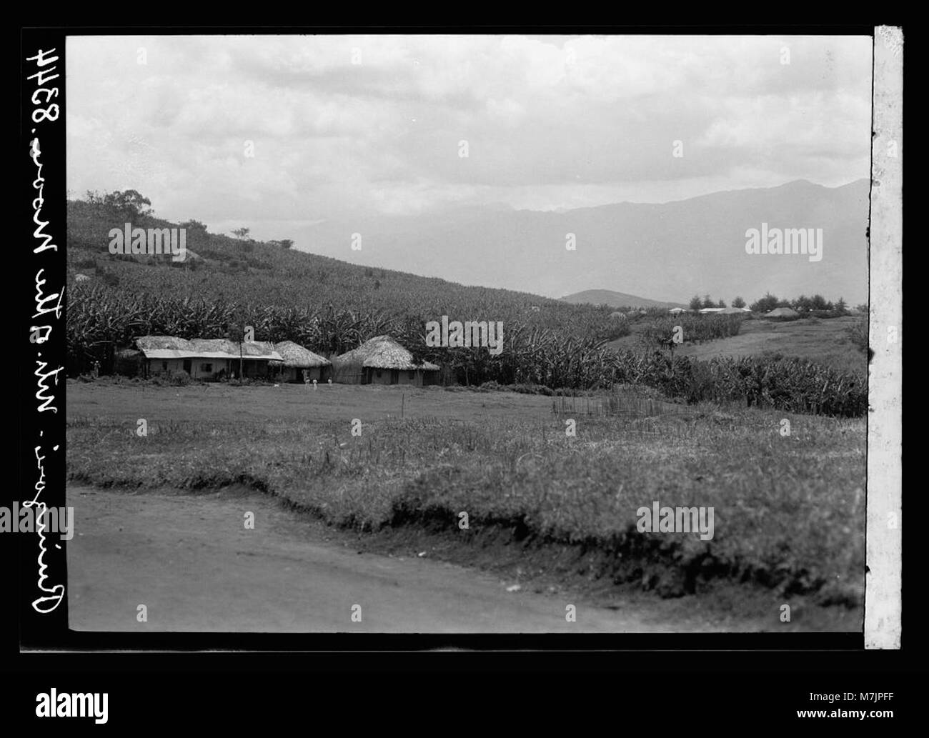 The Ruwenzori Range, also known as the Mountains of the Moon, is shown ...