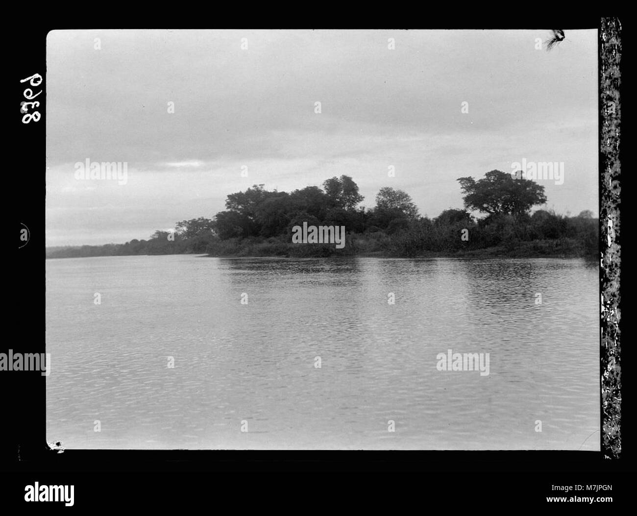 A scenic view of the Victoria Nile in Uganda, highlighting the natural ...