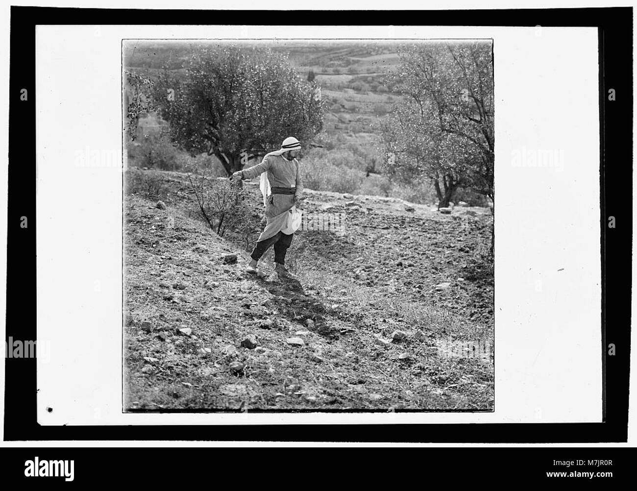 Rural sowing Black and White Stock Photos & Images - Alamy