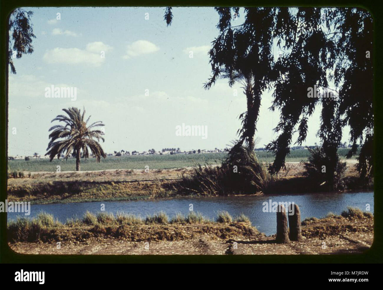 Pithom hi-res stock photography and images - Alamy