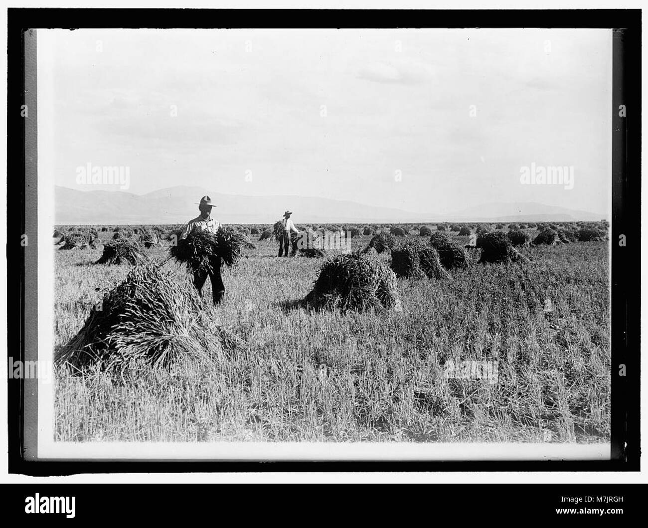 The Minidoka Project, managed by the U.S. Reclamation Bureau ...
