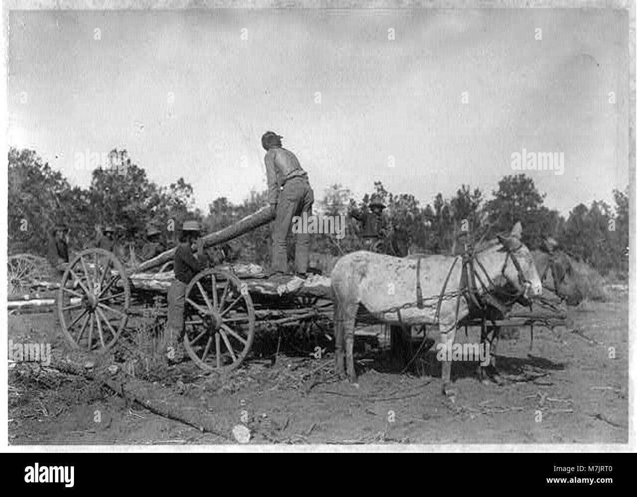 The 9-day Navajo Indian chant ceremony, a deeply spiritual and cultural ...