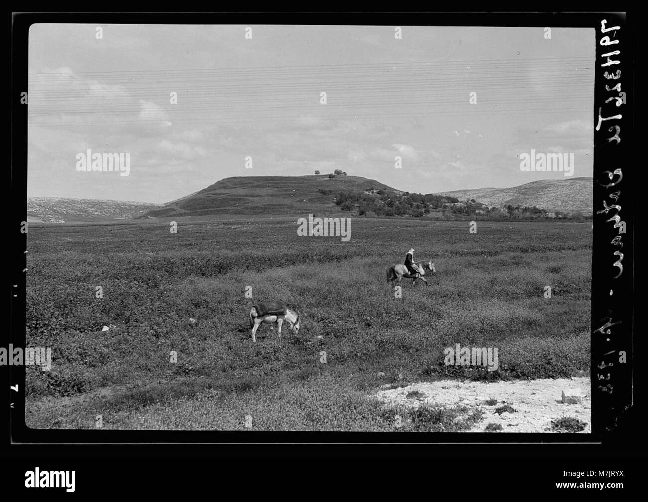 A view of the ruins at Dothan, depicting the ancient archaeological ...
