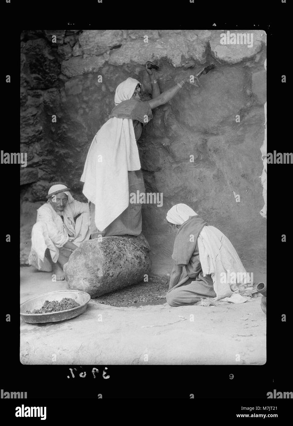 Olives ancient Black and White Stock Photos & Images - Alamy