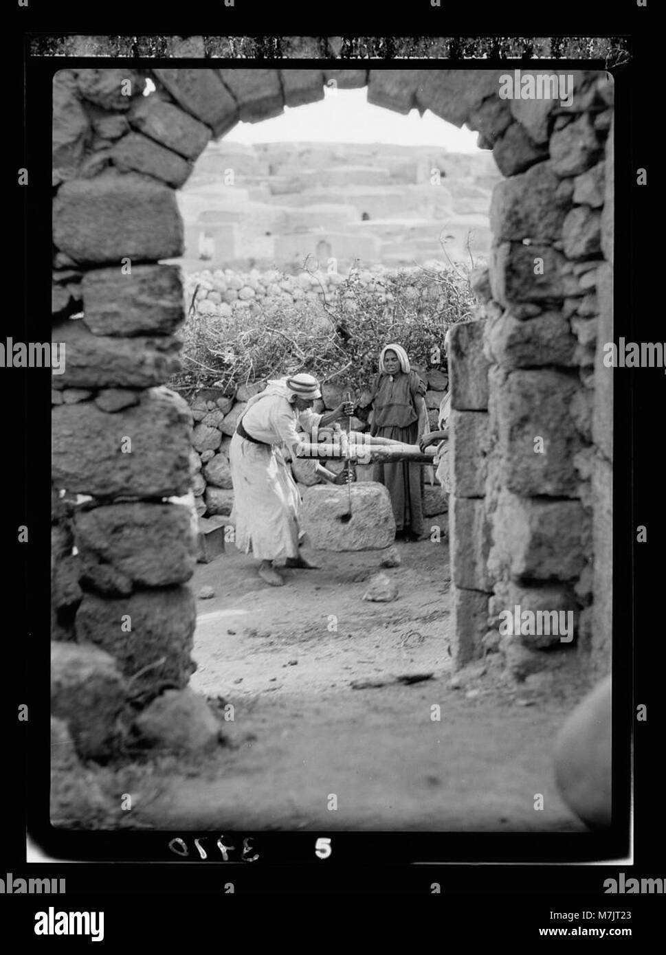 The image depicts the process of olive crushing and pressing, with ...