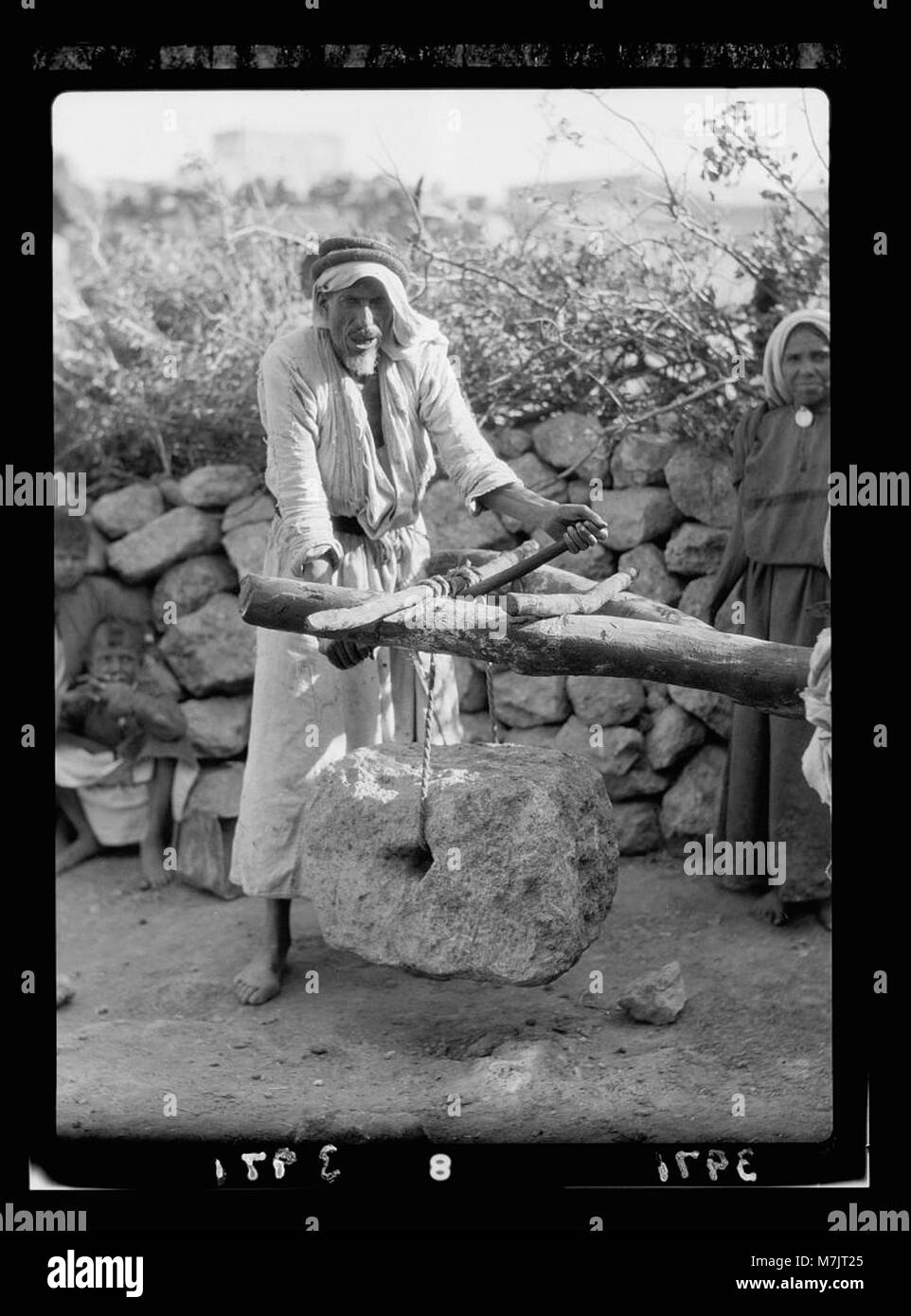 A photograph illustrating the traditional process of olive crushing and ...