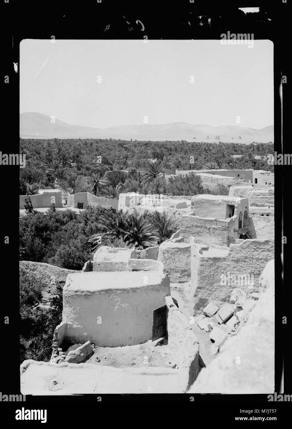 A photograph showcasing the oasis and village of Palmyra, taken from ...