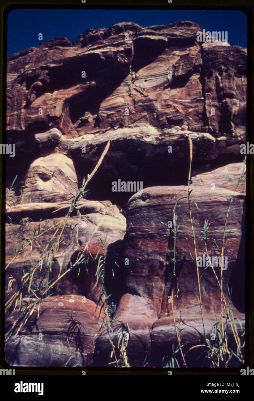 The photograph captures the ancient city of Petra, Jordan, famous for ...