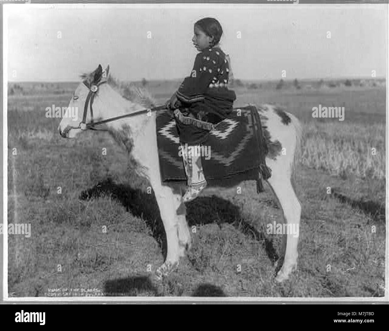 The image titled 'Pride of the Plains' showcases the wide, expansive ...