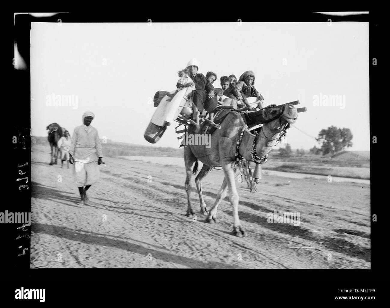 A photograph of pilgrims en route to Nebi Rubin, a significant ...