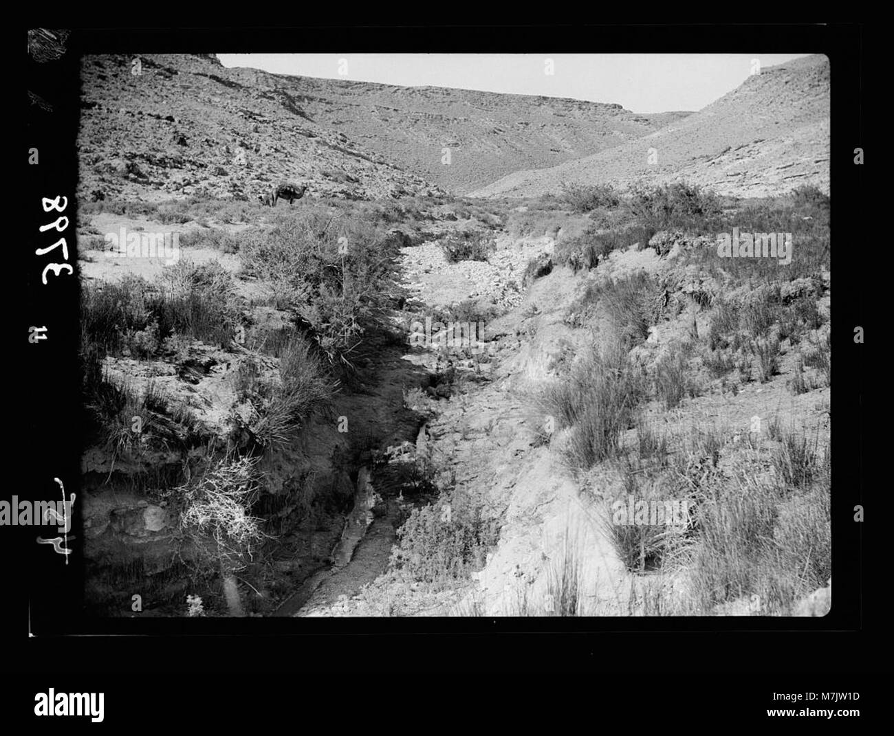 Spring offers Black and White Stock Photos & Images - Alamy