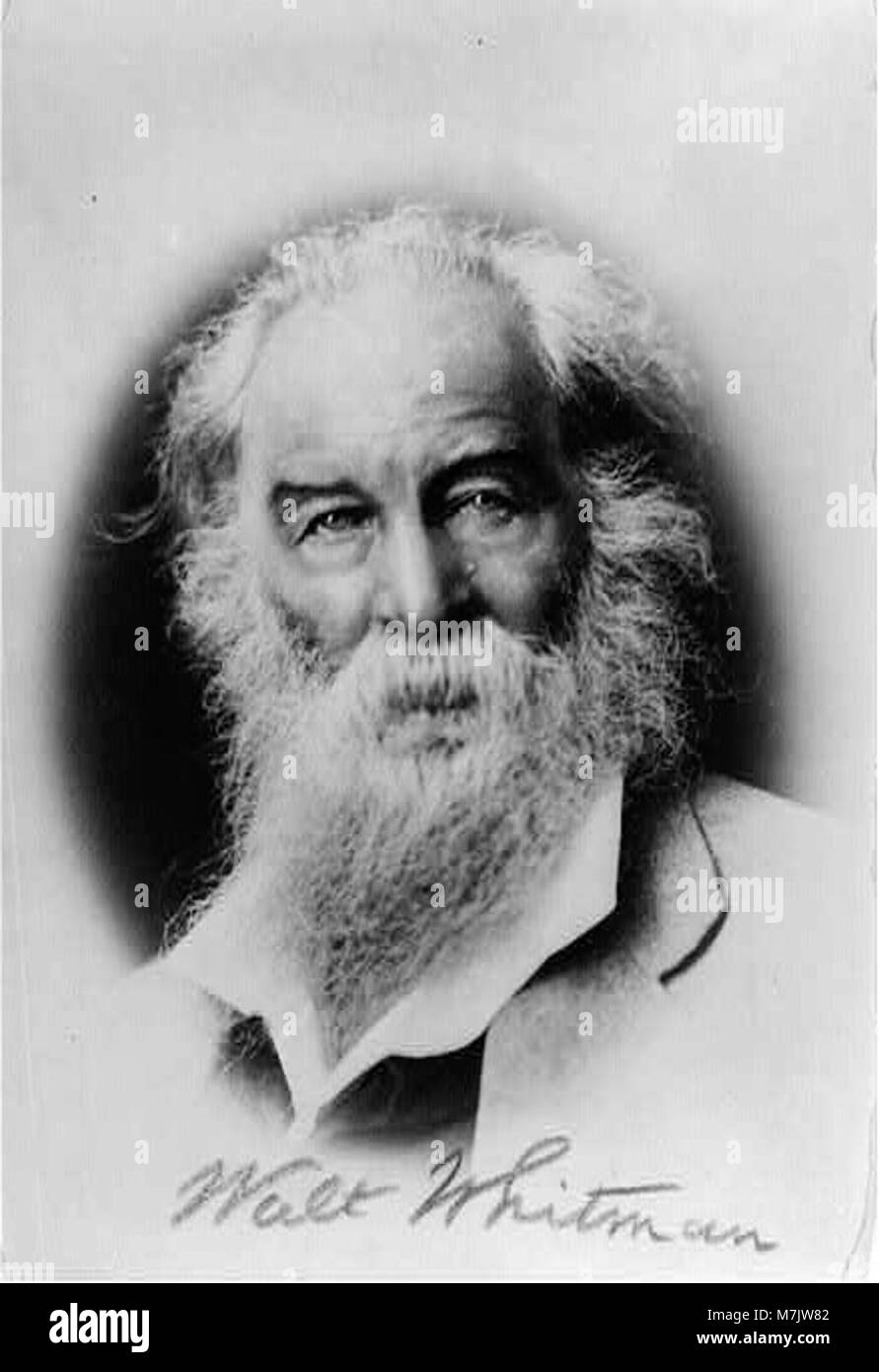 A portrait of Walt Whitman, the influential American poet known for his ...