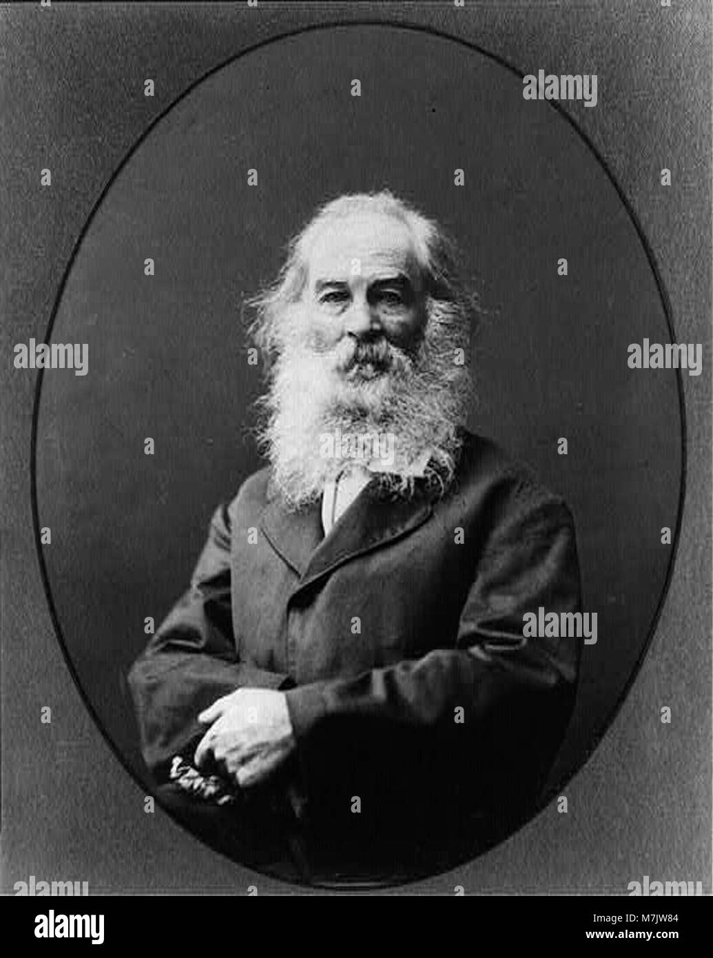A portrait of Walt Whitman, the renowned American poet, emphasizing his ...