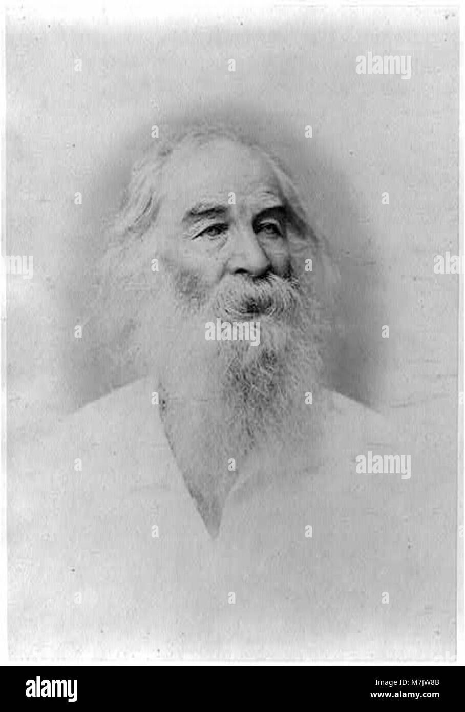 A portrait of Walt Whitman, the American poet known for his work ...