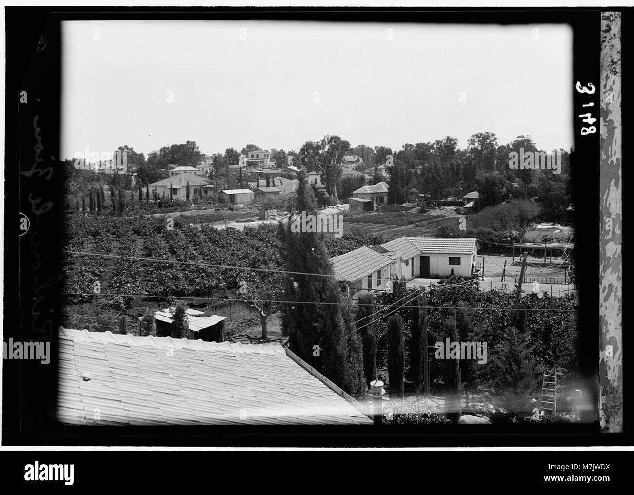 A photograph depicting the Zionist colonies in the Sharon region ...