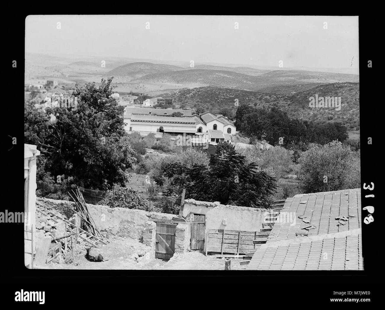 A photograph showcasing Zionist colonies on the Sharon Plain ...