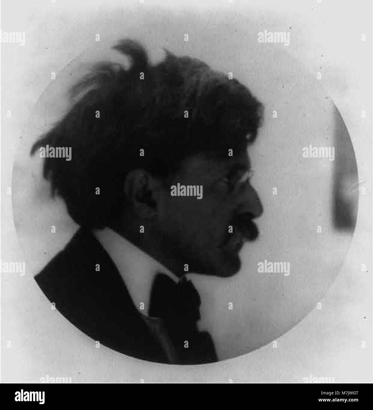 A portrait of Alfred Stieglitz, an influential American photographer ...