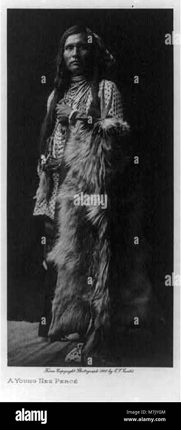 A portrait of a young Nez Perce Native American, providing insight into ...