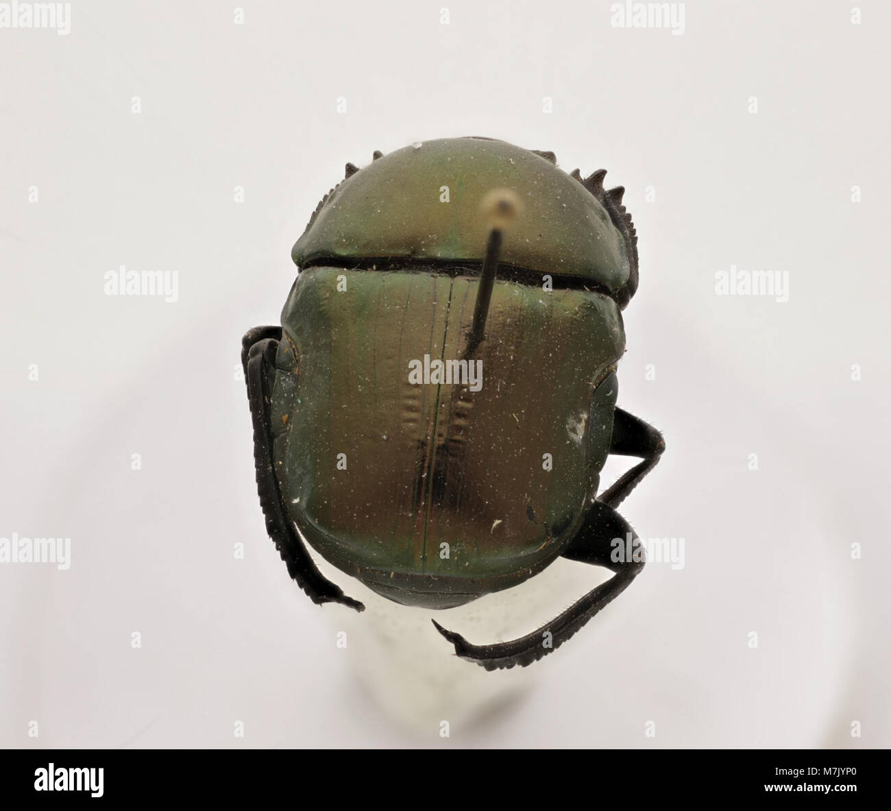 106 125 hi-res stock photography and images - Alamy