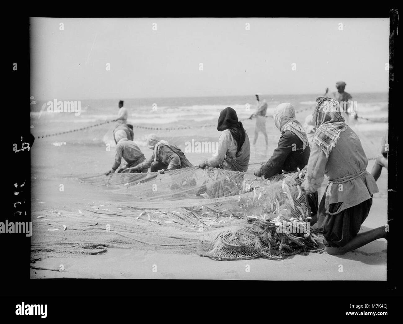 Image depicting men hauling in a large drag-net of fish in the coastal ...