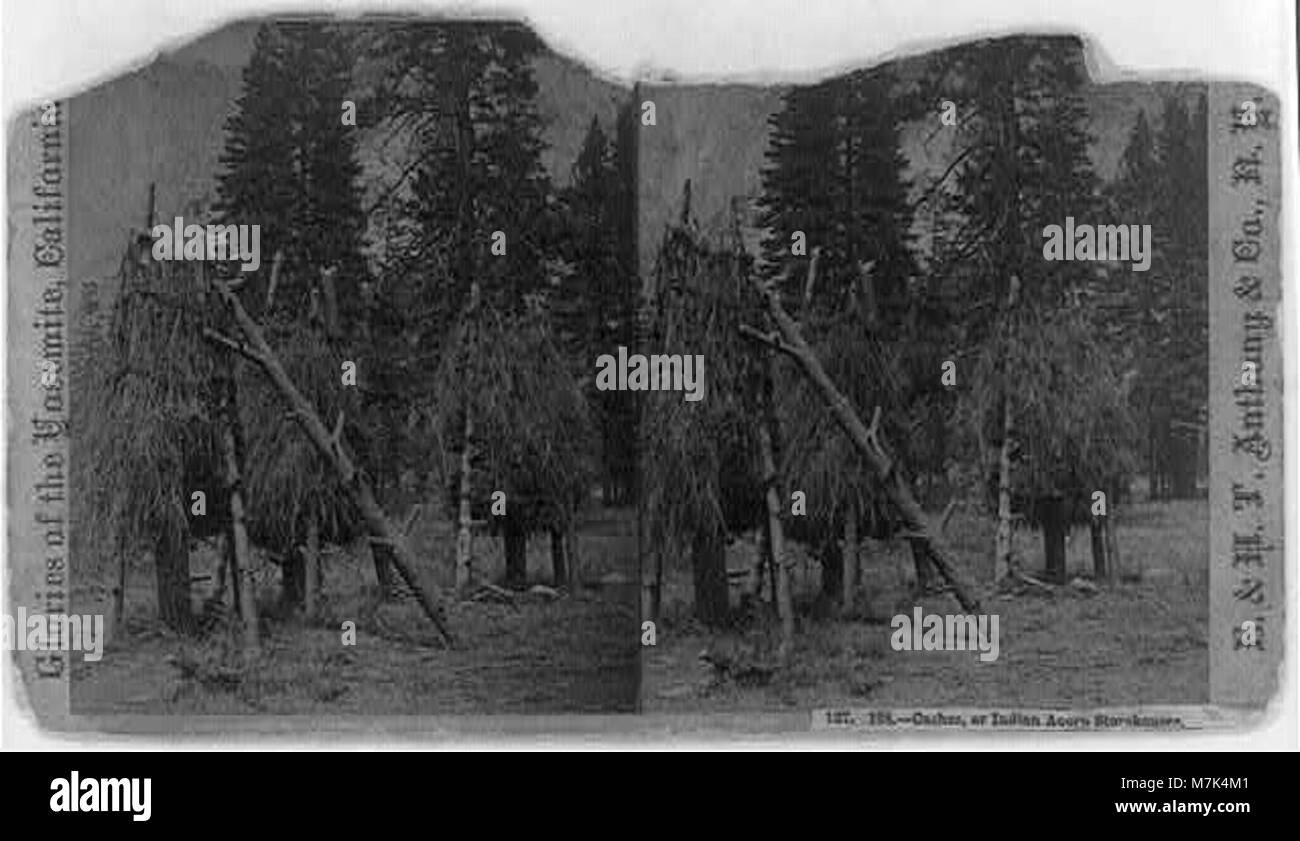 Traditional native american food Black and White Stock Photos & Images ...