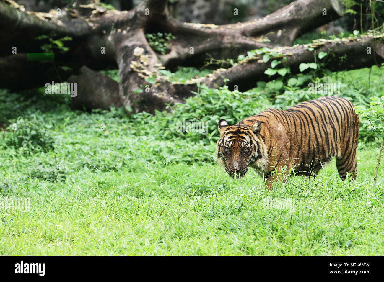 Power mood hi-res stock photography and images - Alamy