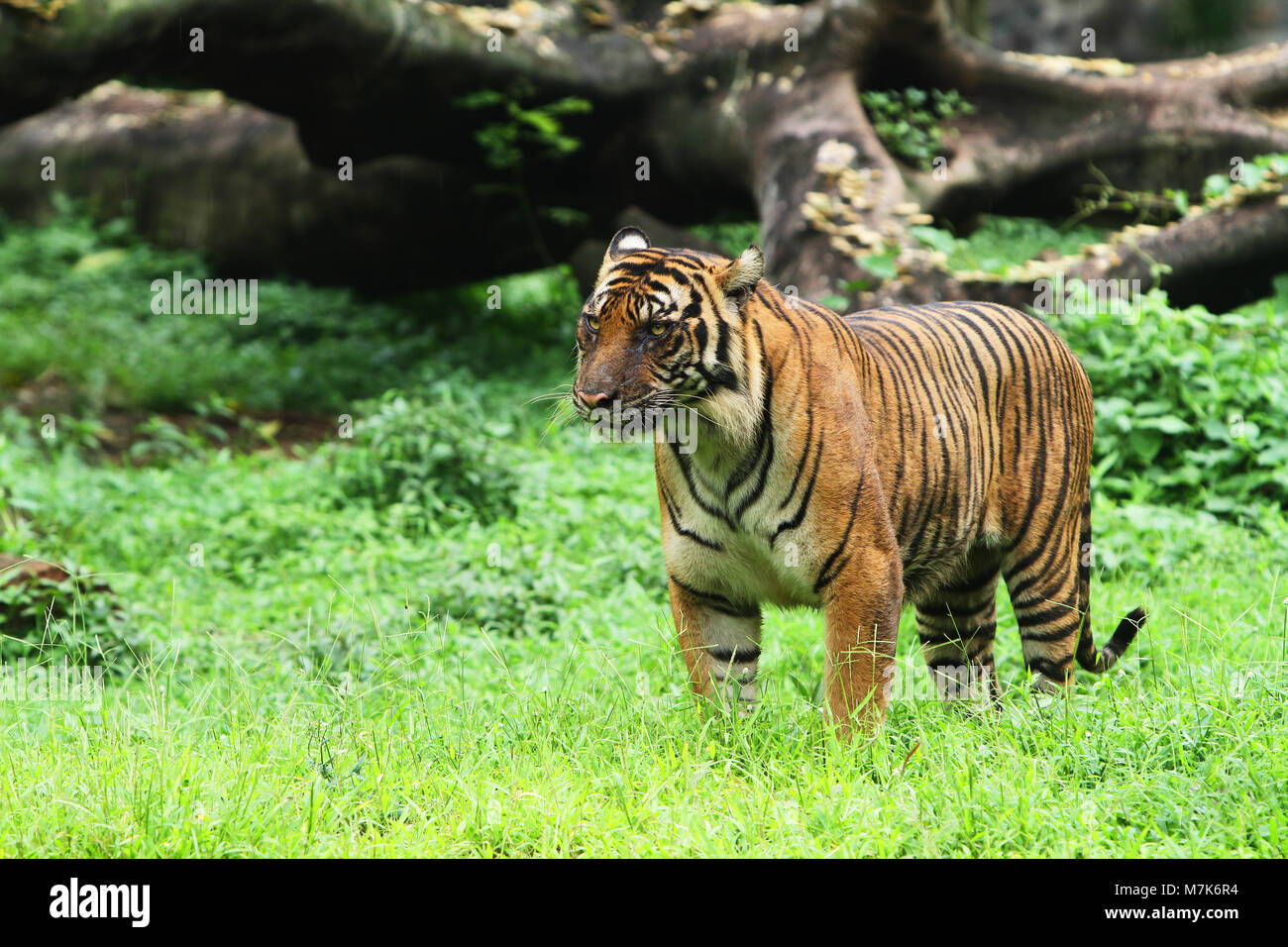 Power mood hi-res stock photography and images - Alamy