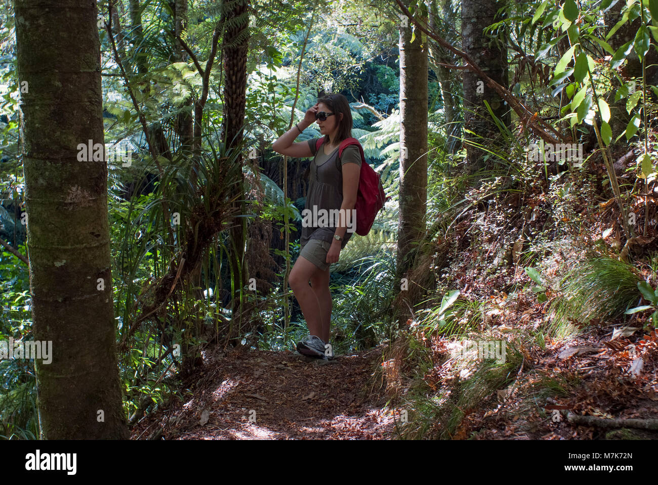 A young woman tramping through Kauri forest stops to look at the view ...