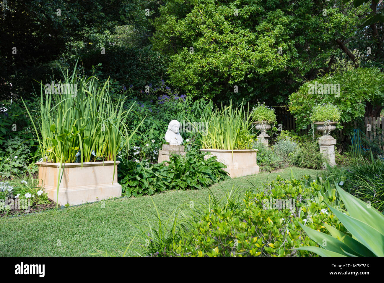 Water Irises in large pots and a marble statue from Carrara in Italy ...