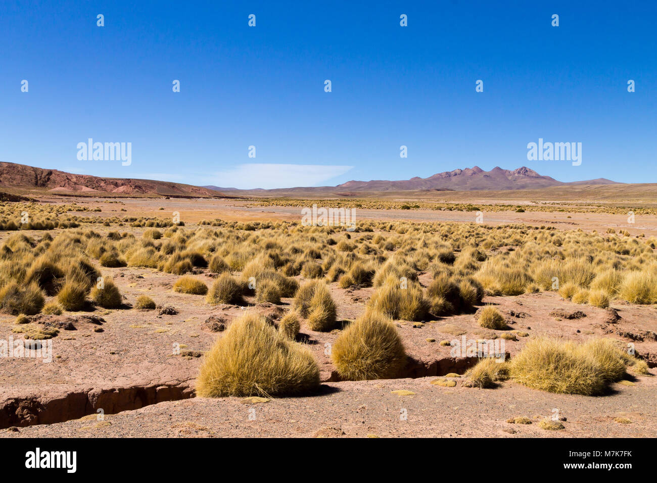 Bolivian mountains landscape,Bolivia.Andean plateau view Stock Photo ...