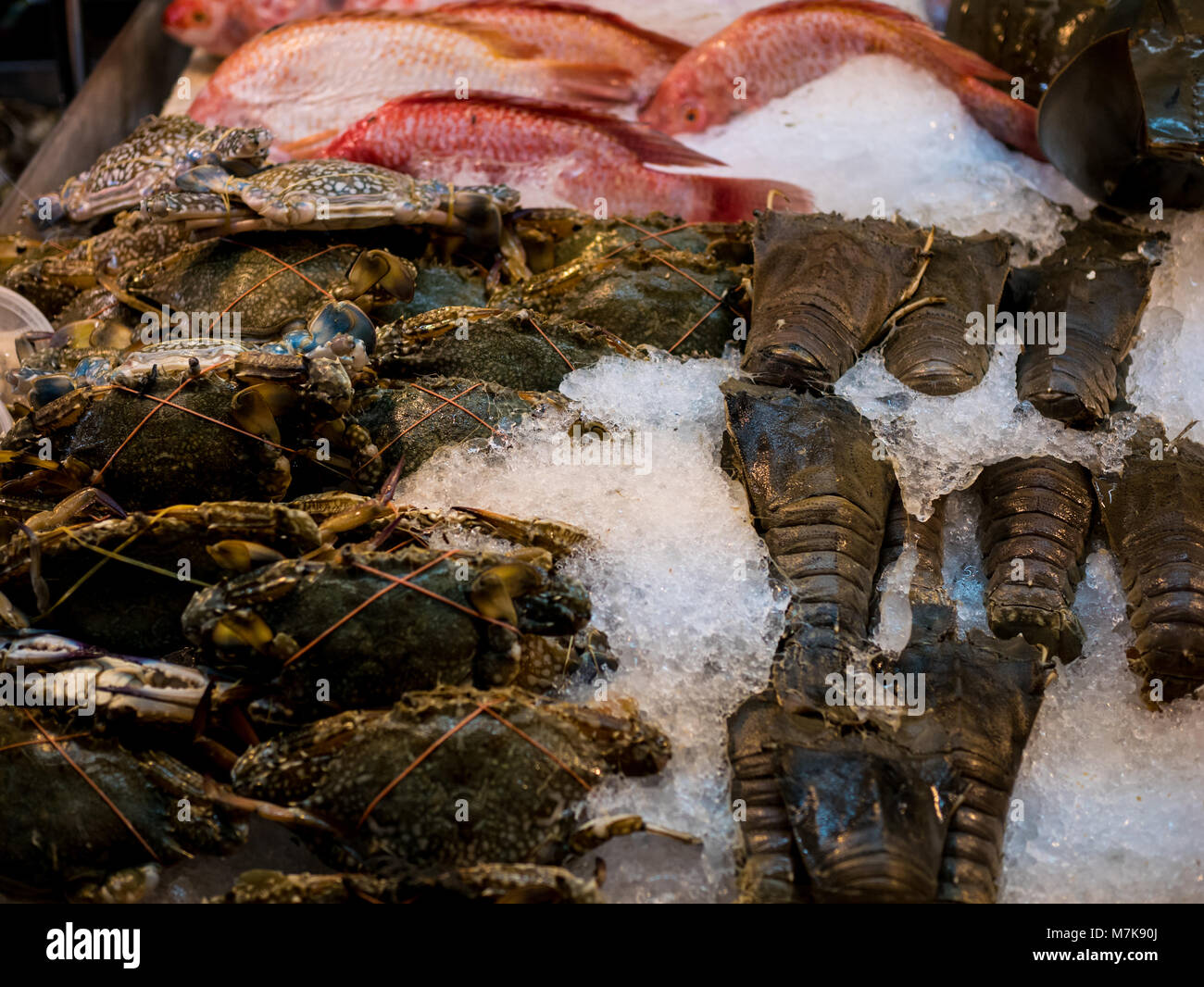 Shop with seafood in ice Stock Photo - Alamy