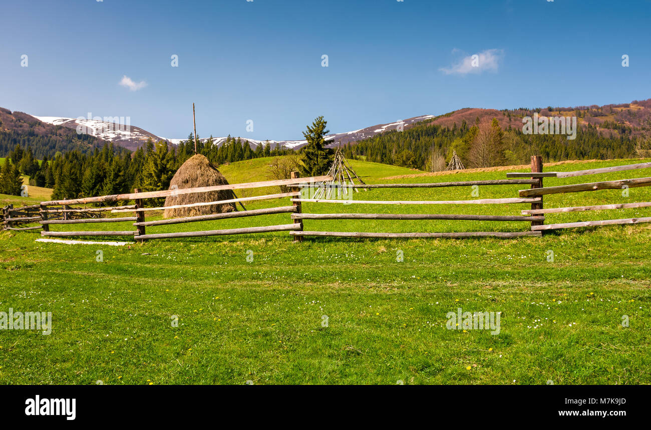 beautiful rural scenery in springtime. wooden fence and haystack on a ...