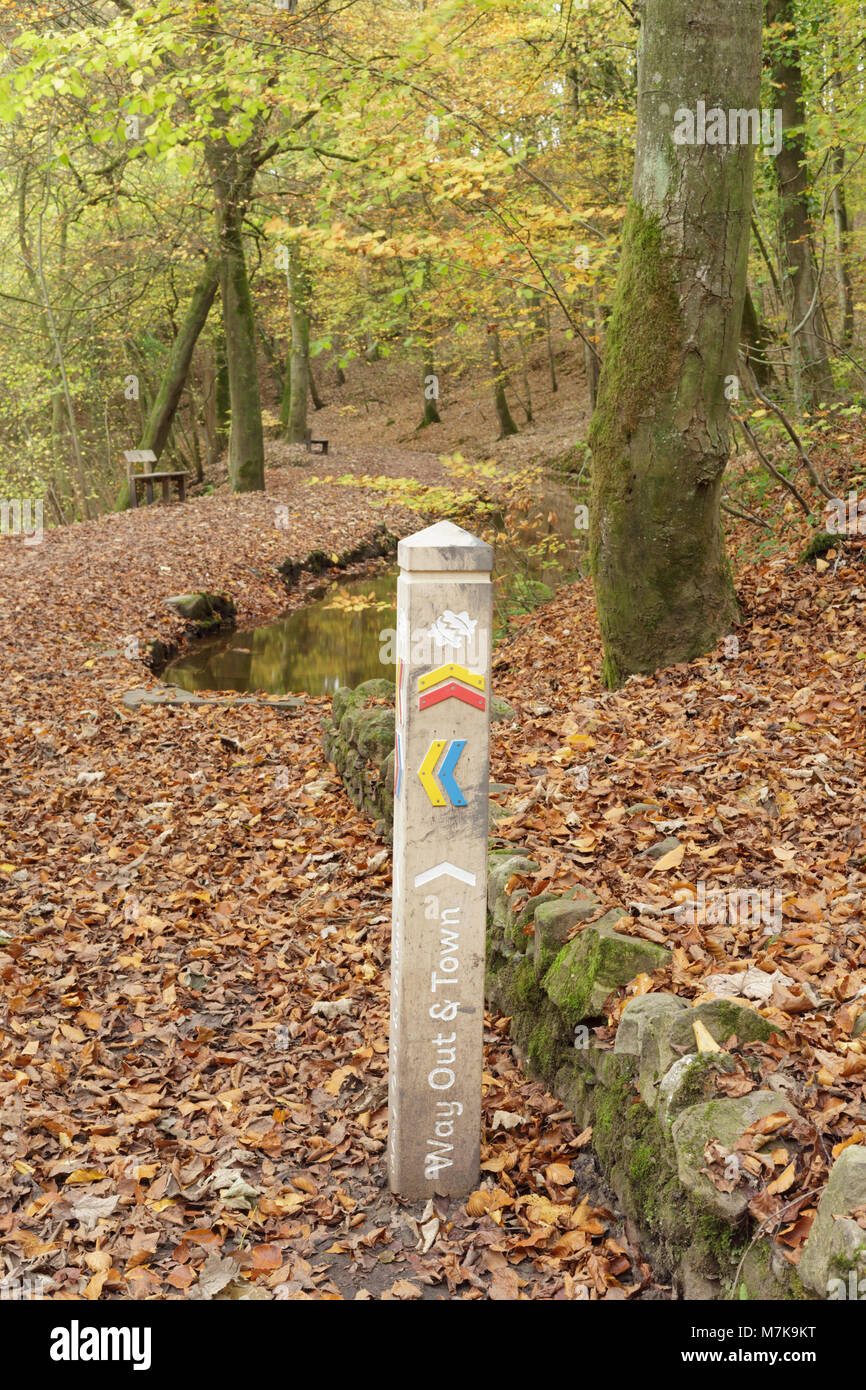 Woodland Trust signpost by Eller Beck with fallen leaves, Skipton Woods ...