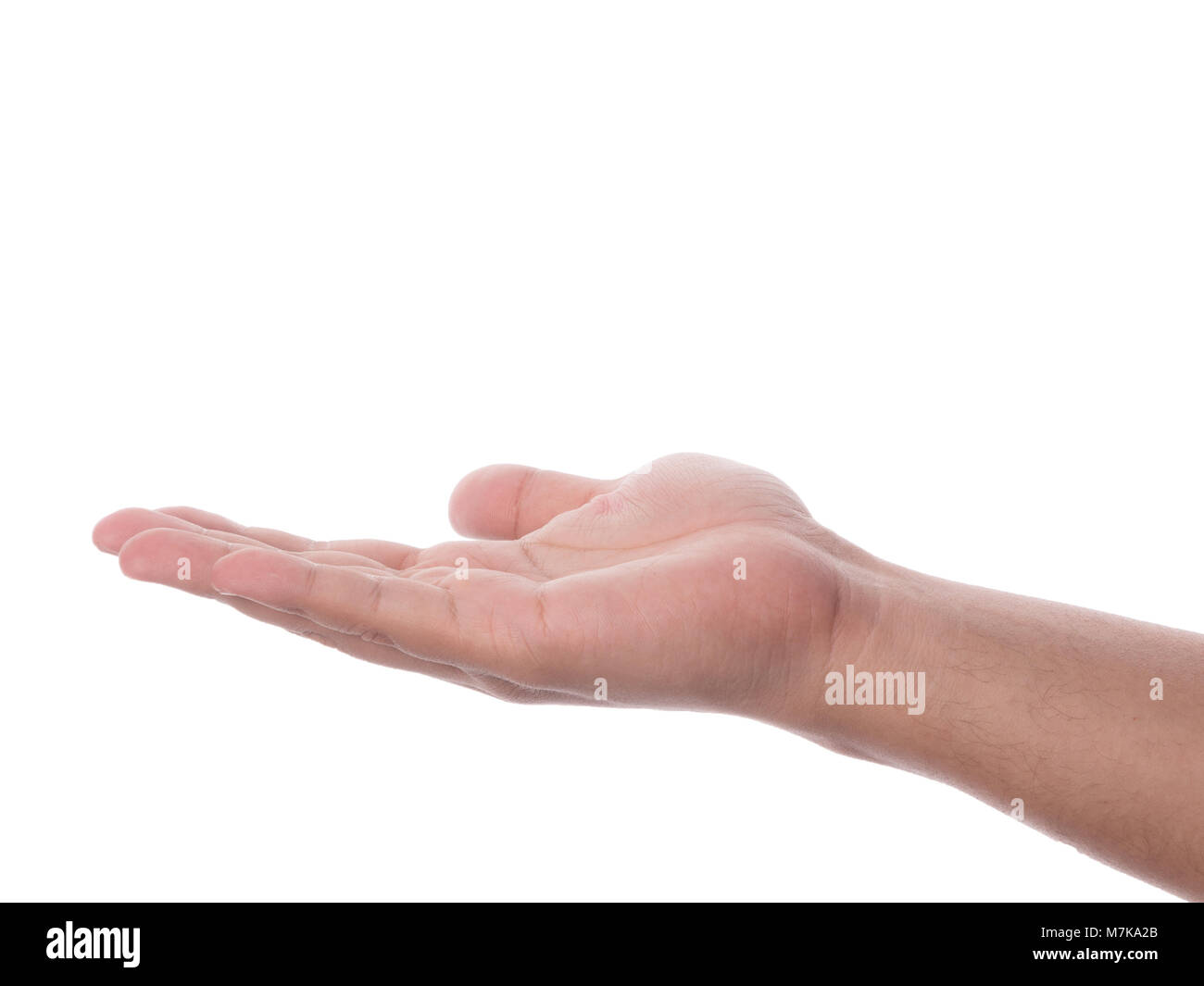 empty male hand making holding gesture isolated at white background ...
